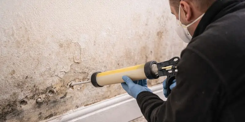 Black Mould in the UK: Causes, Symptoms & Health Risks